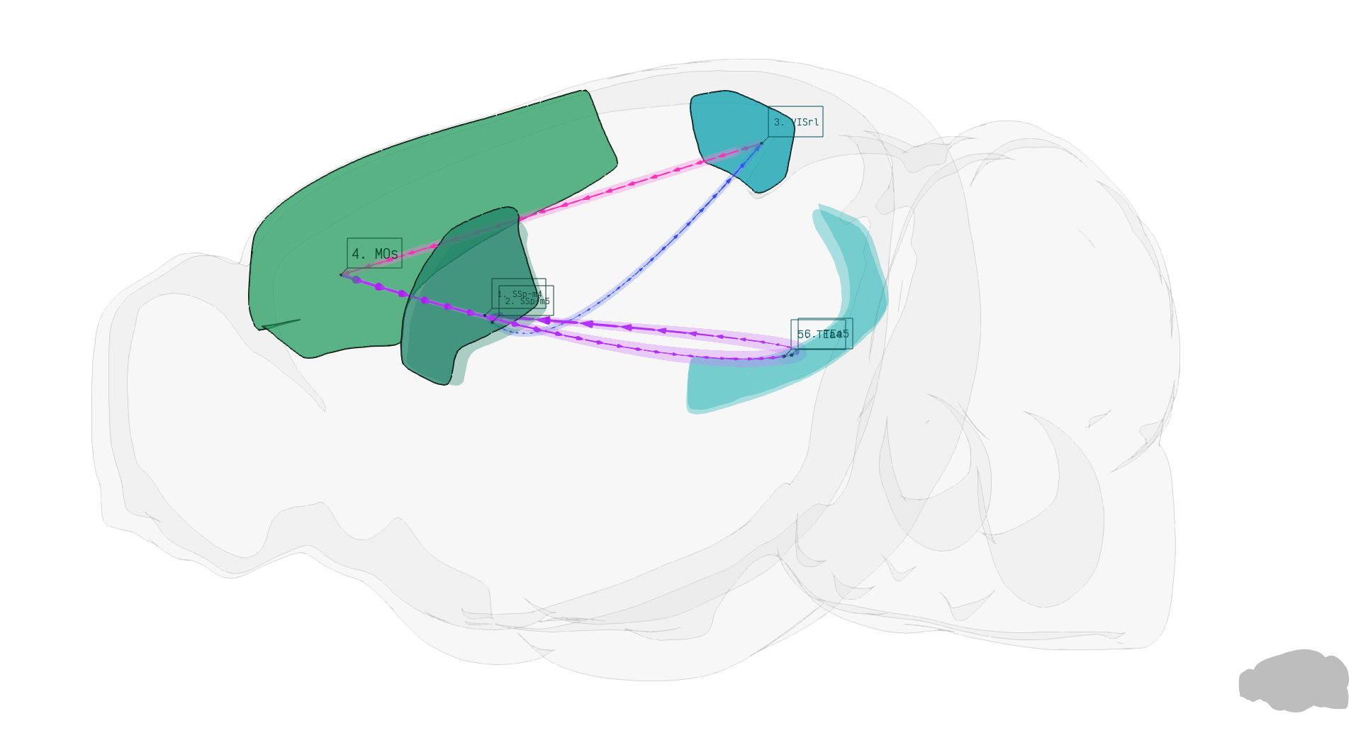 brain-loop-search · PyPI