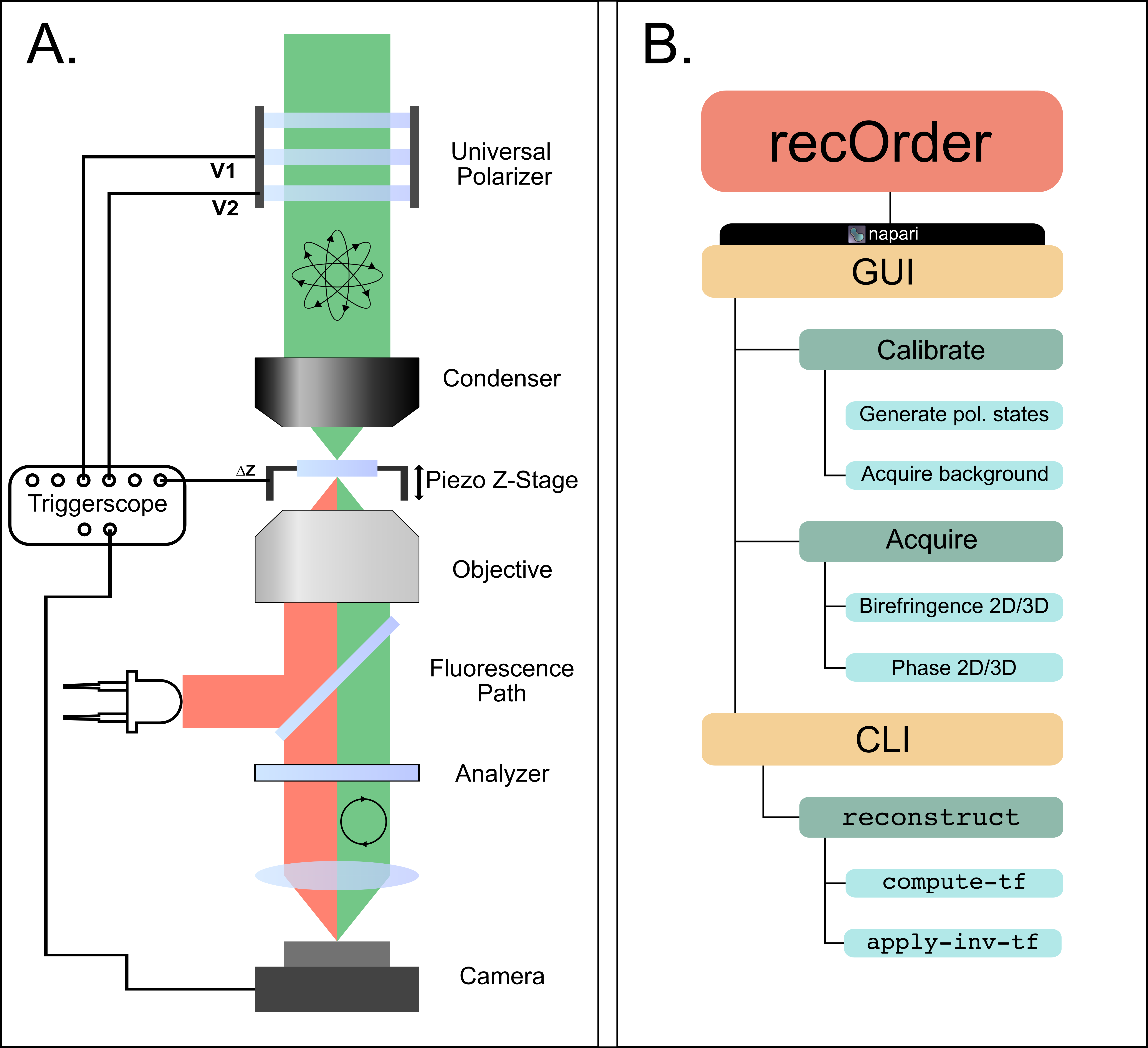recOrder-napari · PyPI