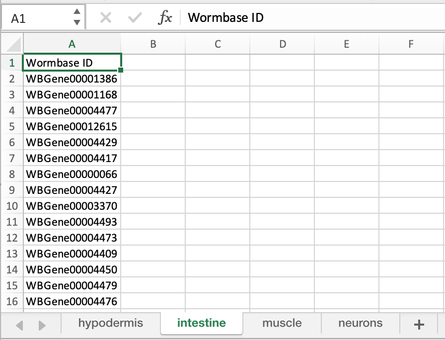 wormcat-batch · PyPI