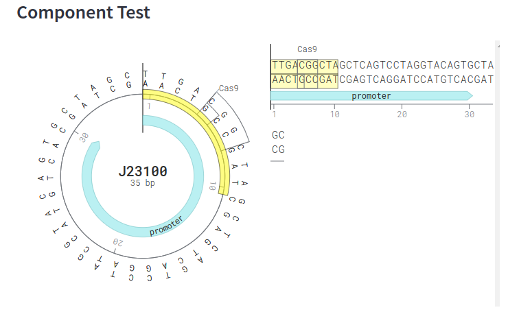 streamlit-seqviz · PyPI