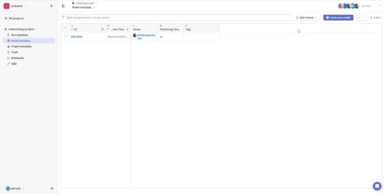 neptune-client · PyPI