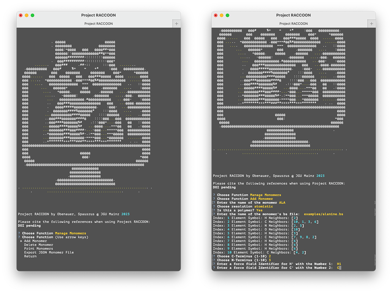 project-raccoon · PyPI