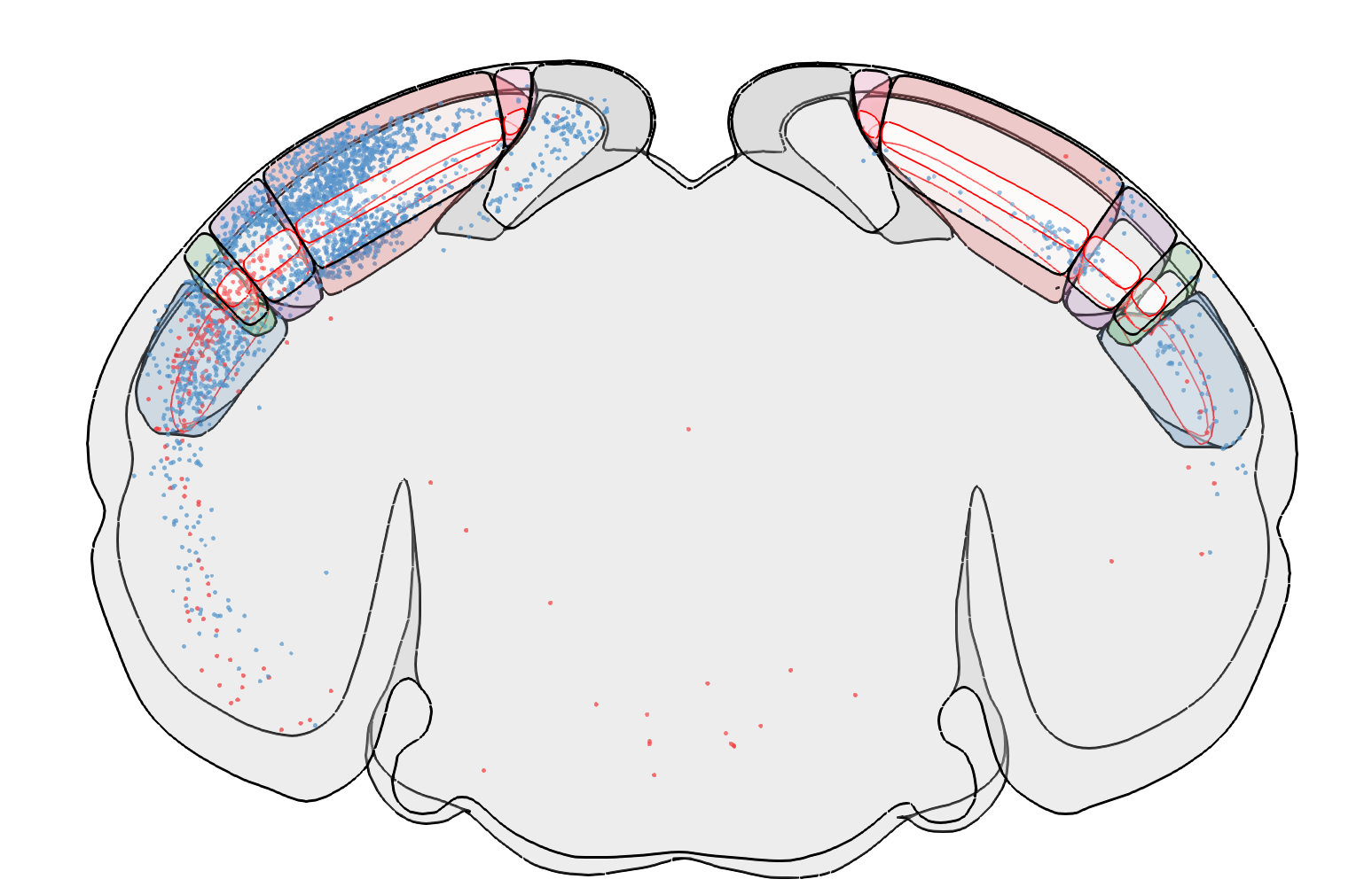 cellfinder-visualize · PyPI