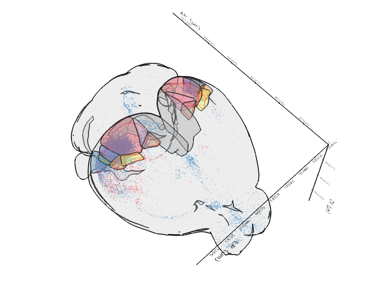 cellfinder-visualize·PyPI