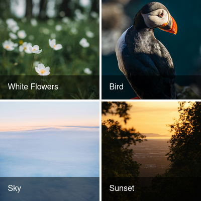 streamlit-image-gallery · PyPI