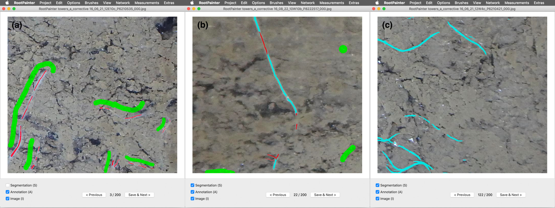 root-painter-trainer · PyPI