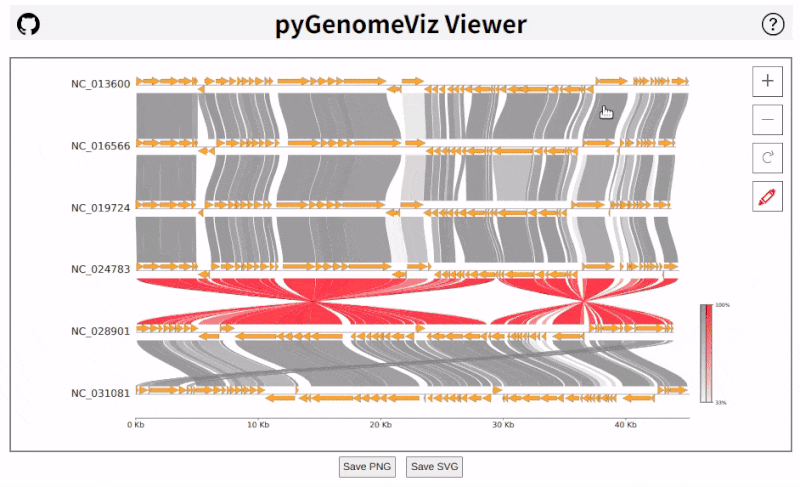 pygenomeviz · PyPI