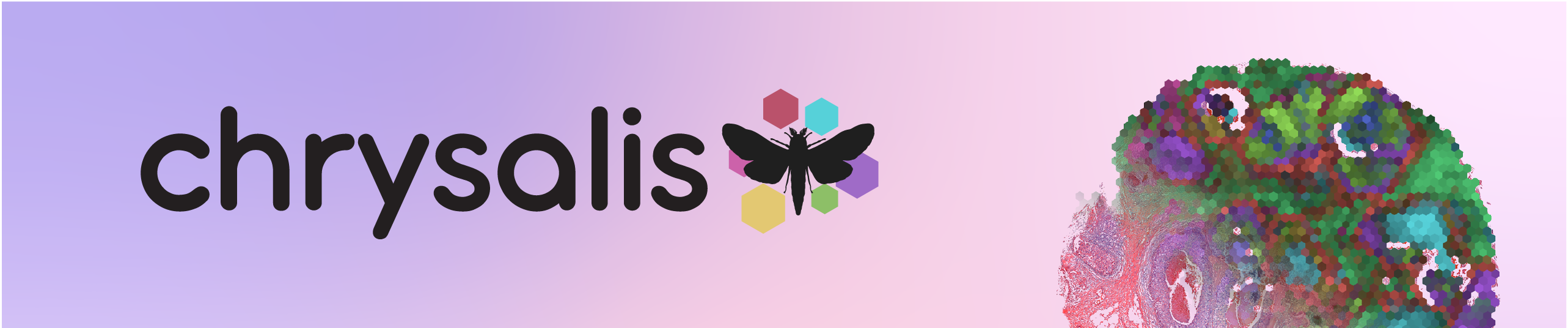 chrysalis-st · PyPI