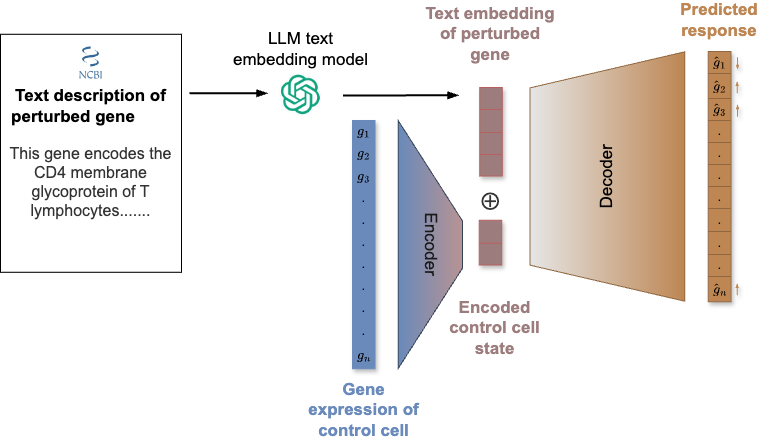 scouter-learn · PyPI