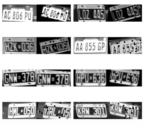 fast-plate-ocr · PyPI