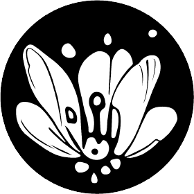 pollinations · PyPI