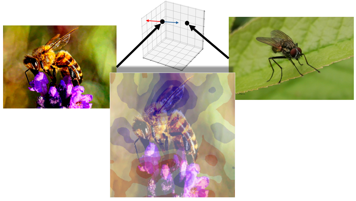 distance-explainer · PyPI