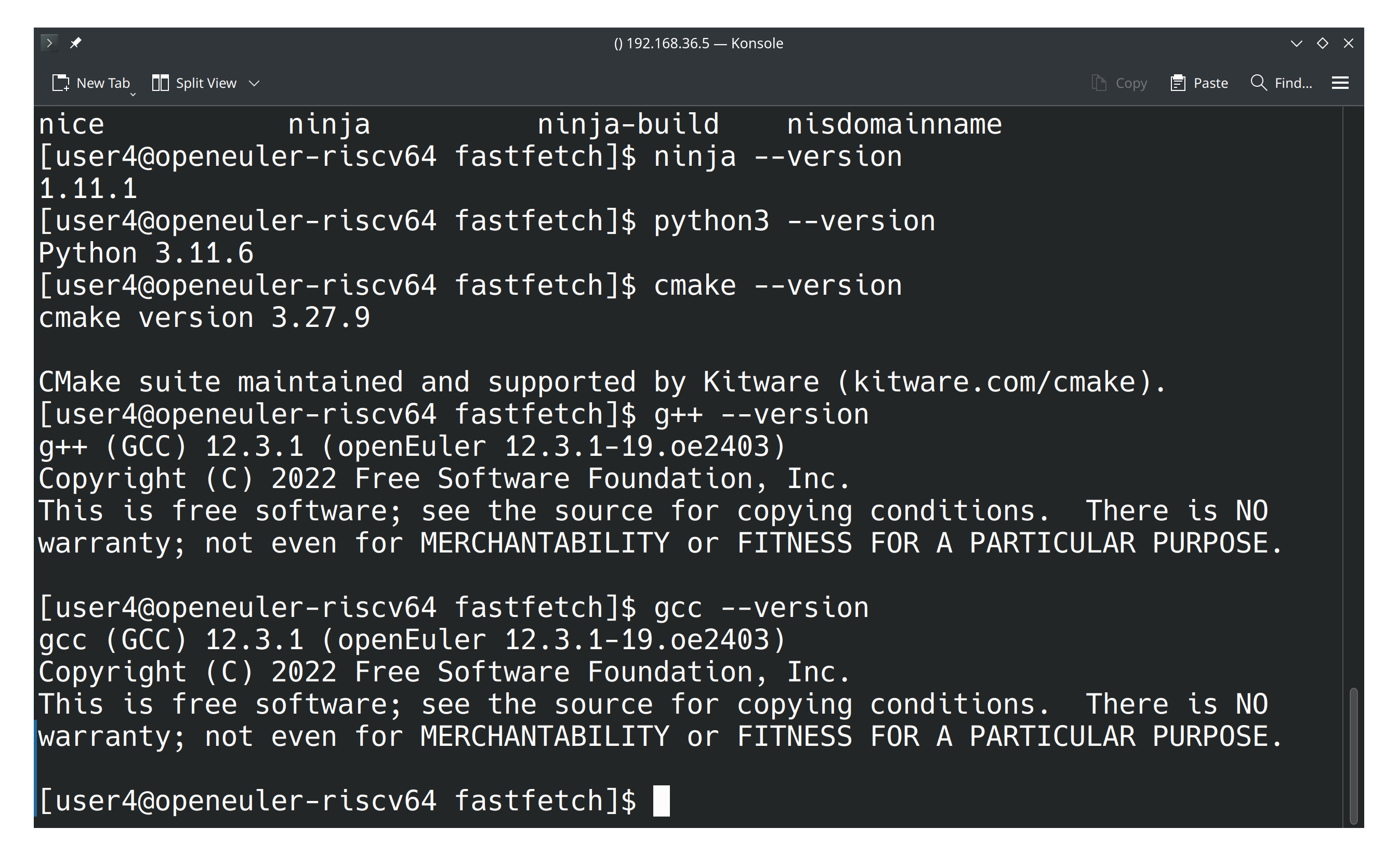 pytorch-riscv64 · PyPI