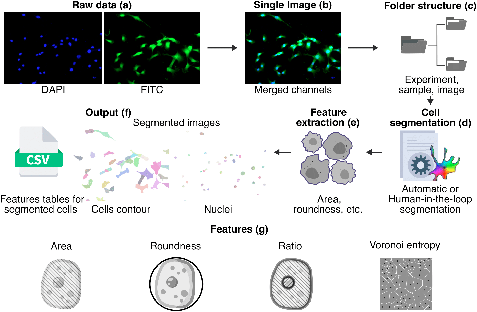 cellpose-plus · PyPI