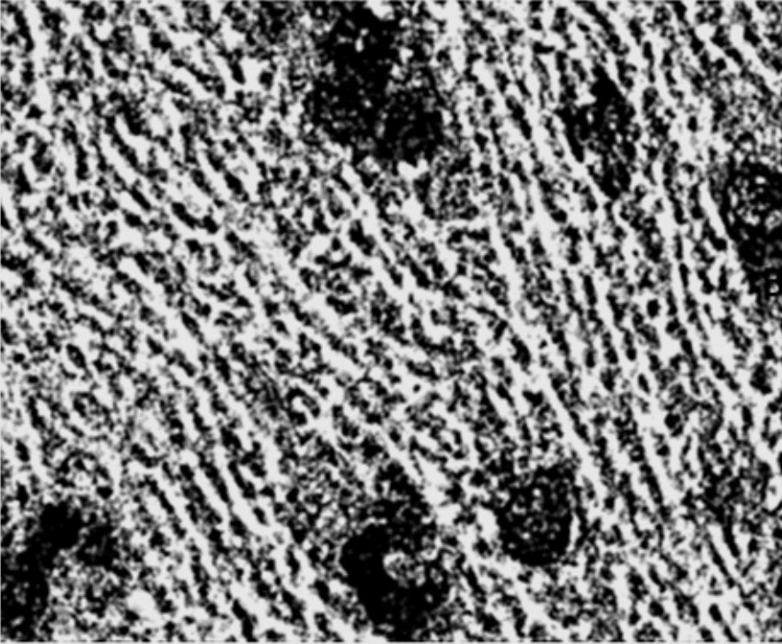 ridge-detector · PyPI