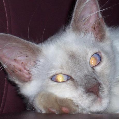 ffmpeg-progress-yield · PyPI