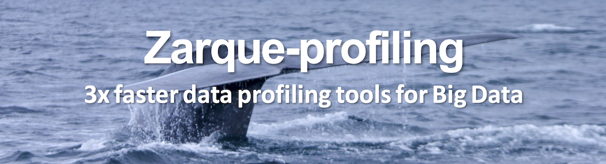 zarque-profiling · PyPI