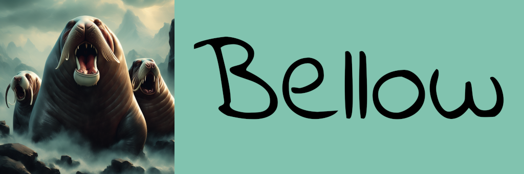 bellow · PyPI