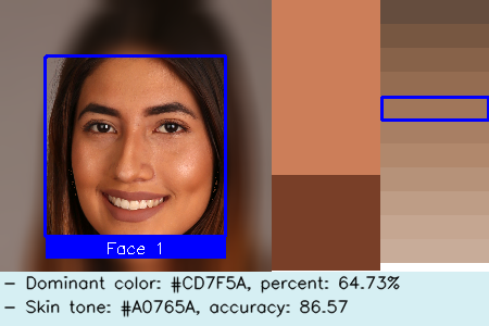 skin-tone-classifier · PyPI