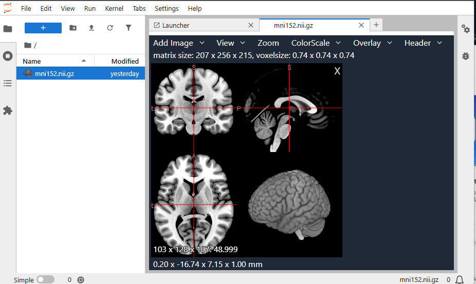 jupyterlab-niivue · PyPI