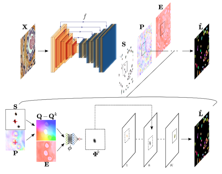 instanseg-torch · PyPI