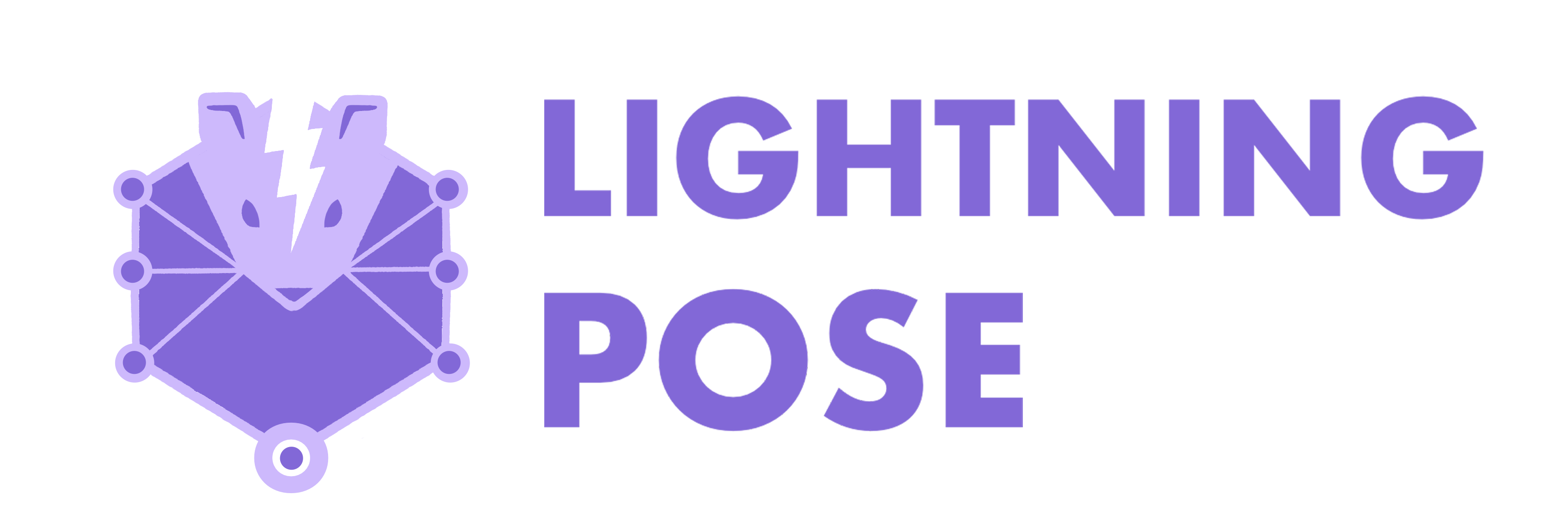 lightning-pose · PyPI