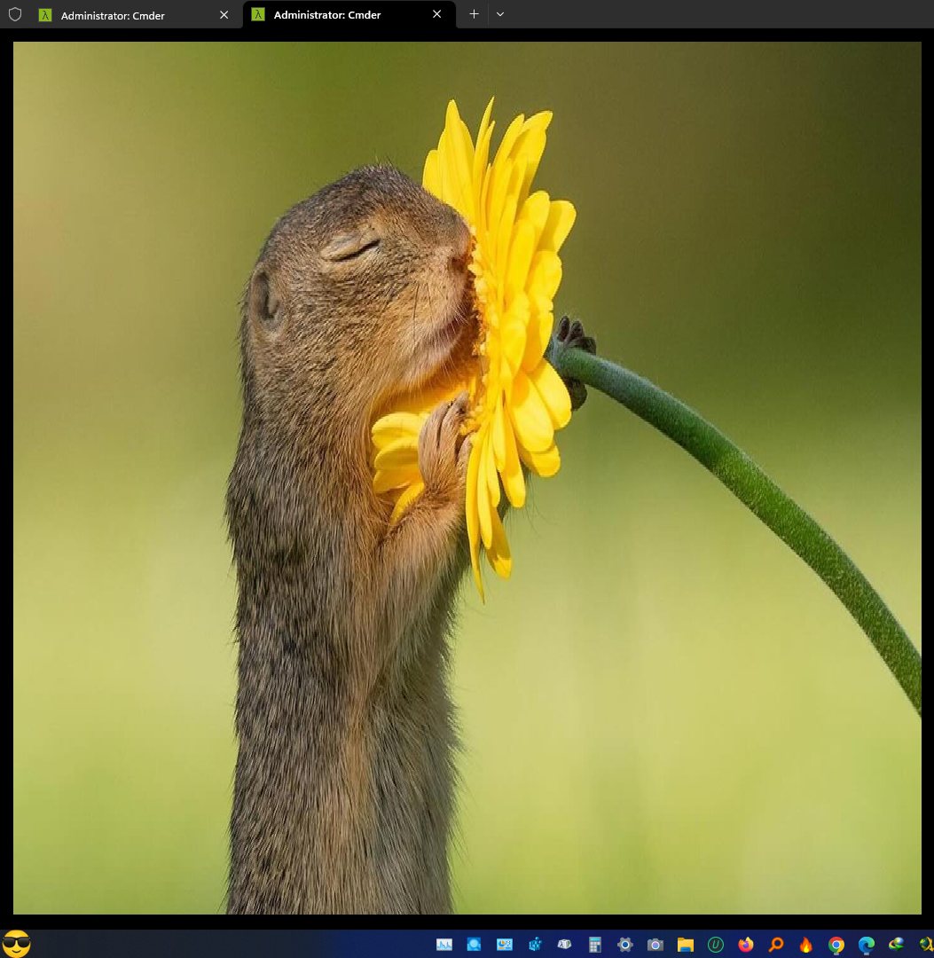 image-in-terminal · PyPI