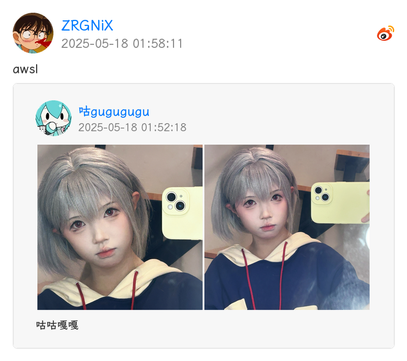 nonebot-plugin-parser · PyPI