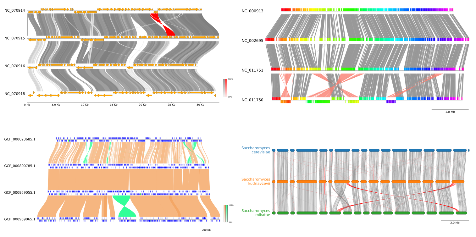 pygenomeviz · PyPI