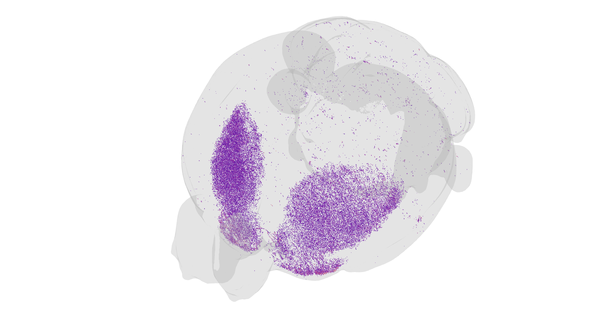 spatial-brain-maps · PyPI