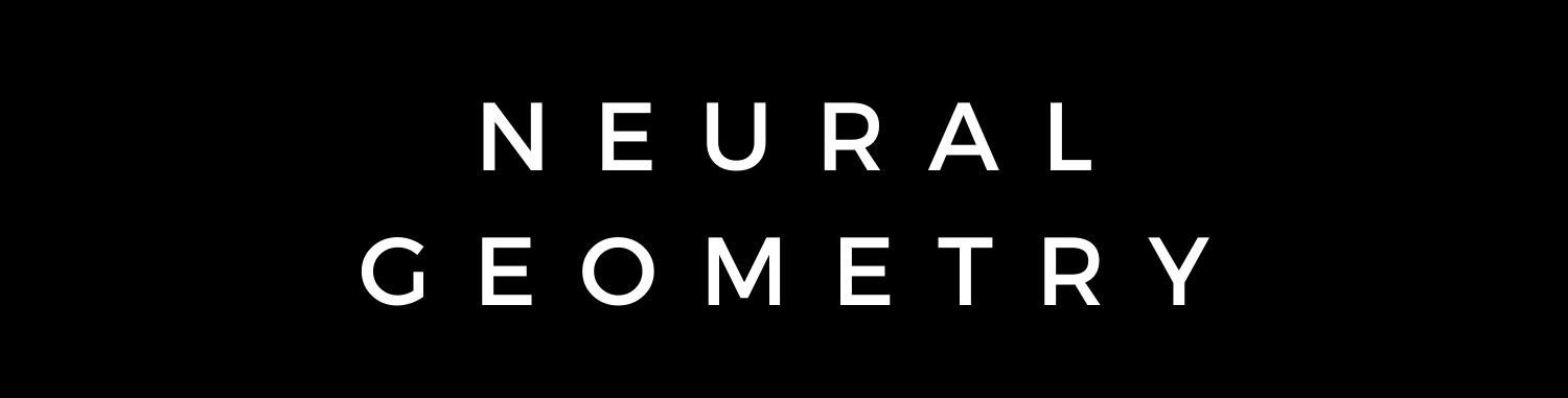 neural-geometry · PyPI