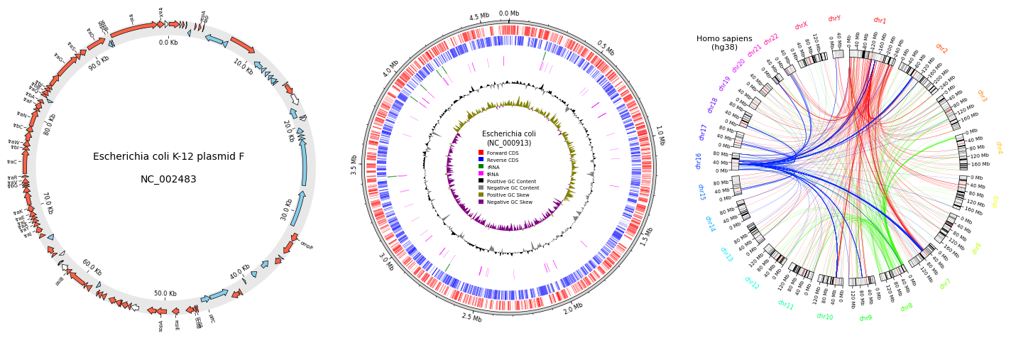 pygenomeviz · PyPI
