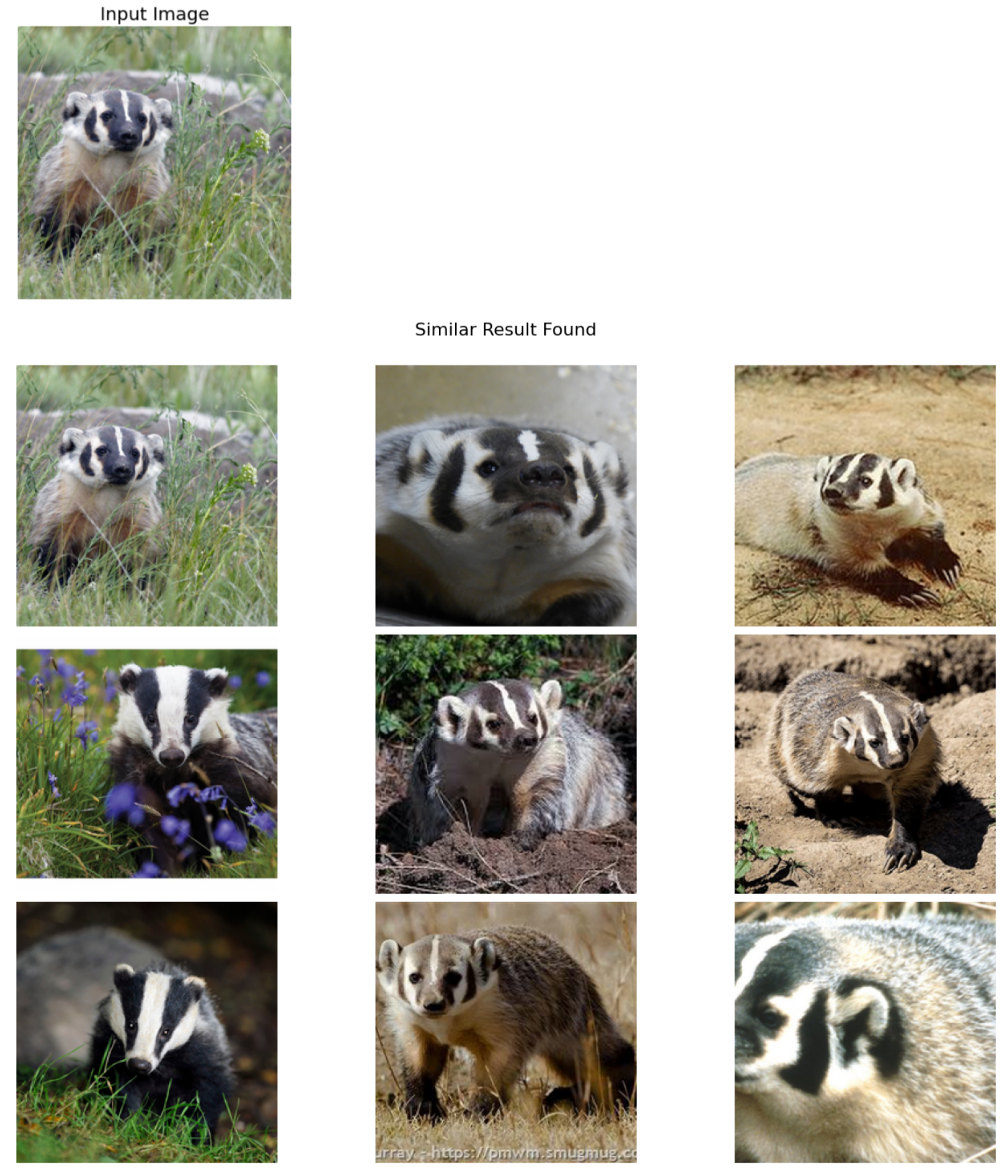 DeepImageSearch · PyPI