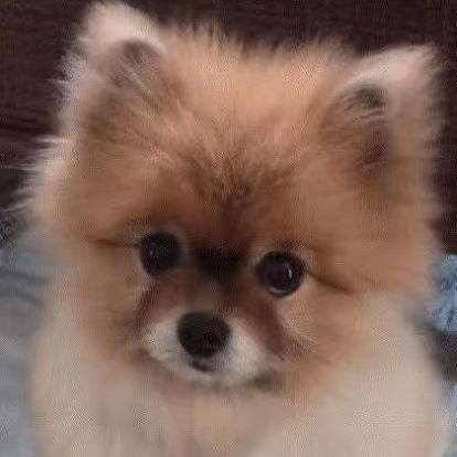 agentscope-runtime · PyPI