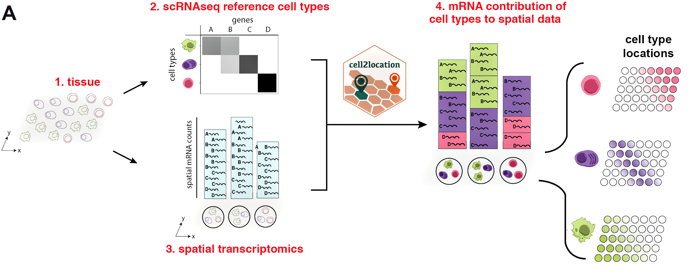 cell2location · PyPI