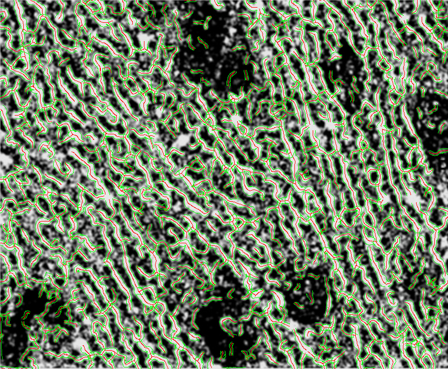 ridge-detector · PyPI