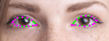 face-detection-tflite · PyPI