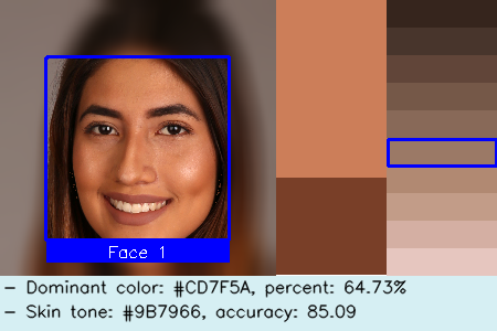 skin-tone-classifier · PyPI