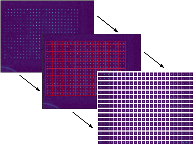 segment-multiwell-plate · PyPI