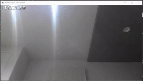 Hand Gesture Recognizer Pypi