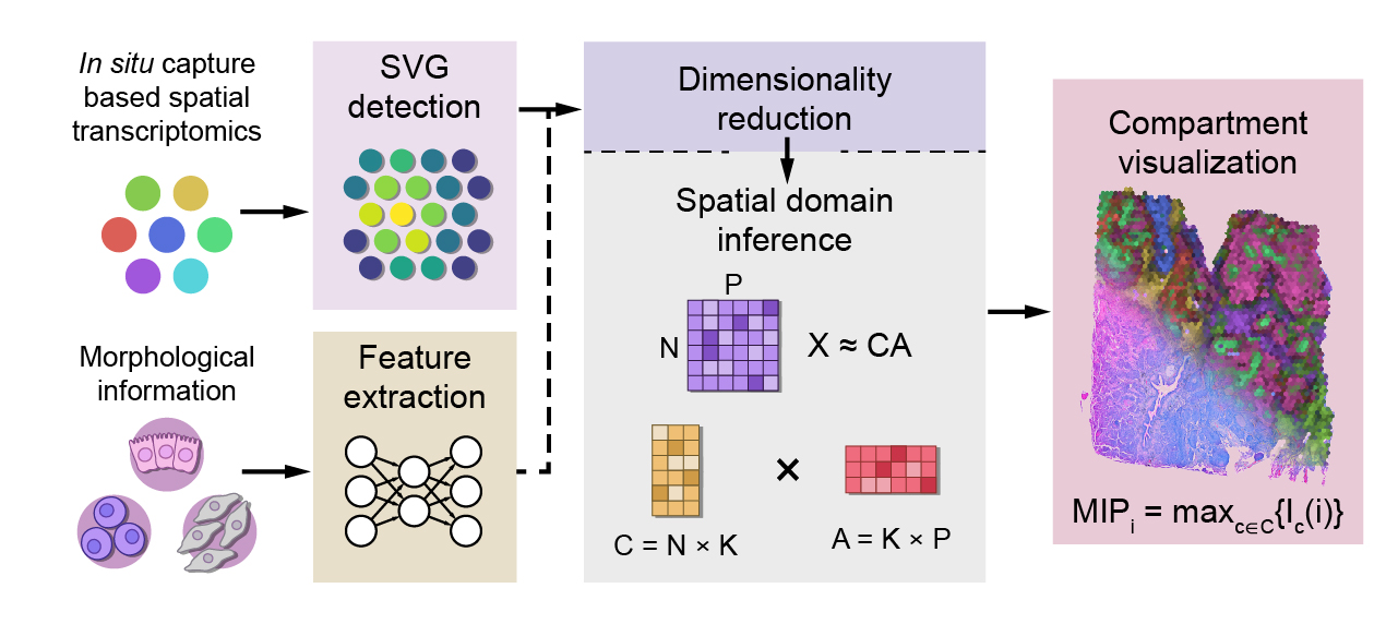 chrysalis-st · PyPI