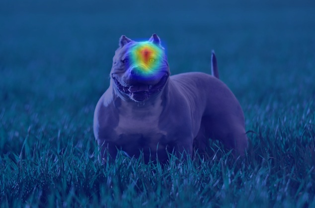 easy-gradcam · PyPI