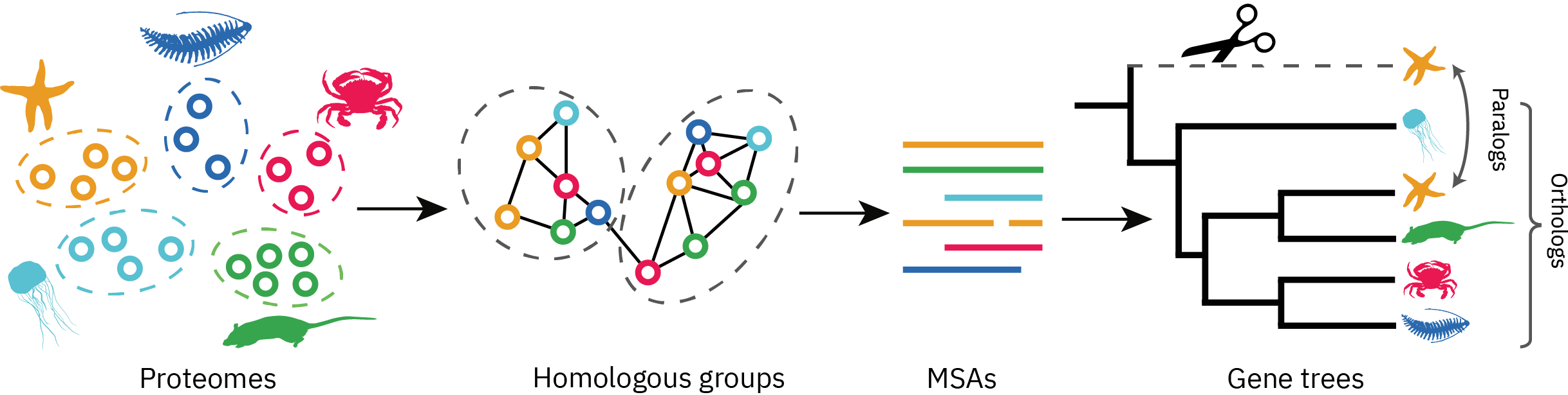 phylopypruner · PyPI