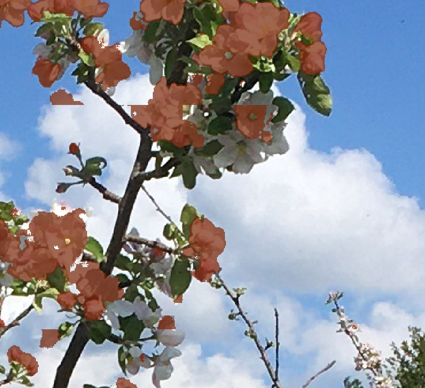 napari-pixel-correction · PyPI