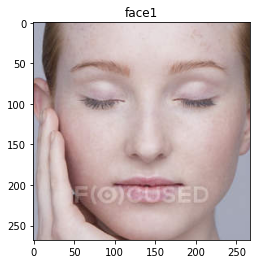 face-classify · PyPI